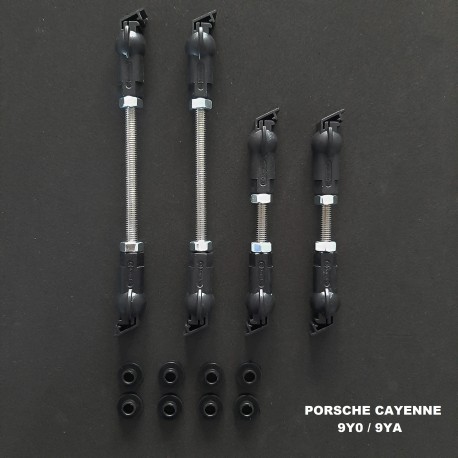 PORSCHE CAYENNE 9Y0 / 9YA - cayennebypass